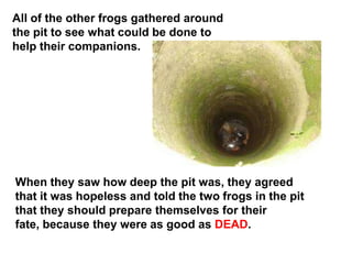 Tiny frogs | PPT