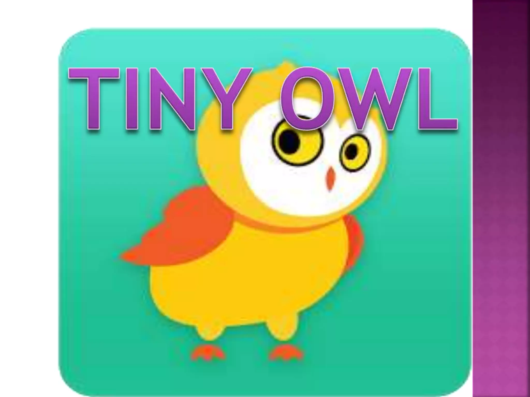 Tiny owl (1) | PPTX