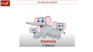 TINYTALK3B-7TH (1).pptx