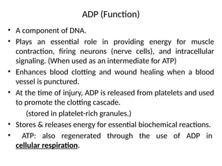 Generic BSN biochemistry Metabolism.pptx