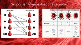 Tipagem sanguinea | PPTX