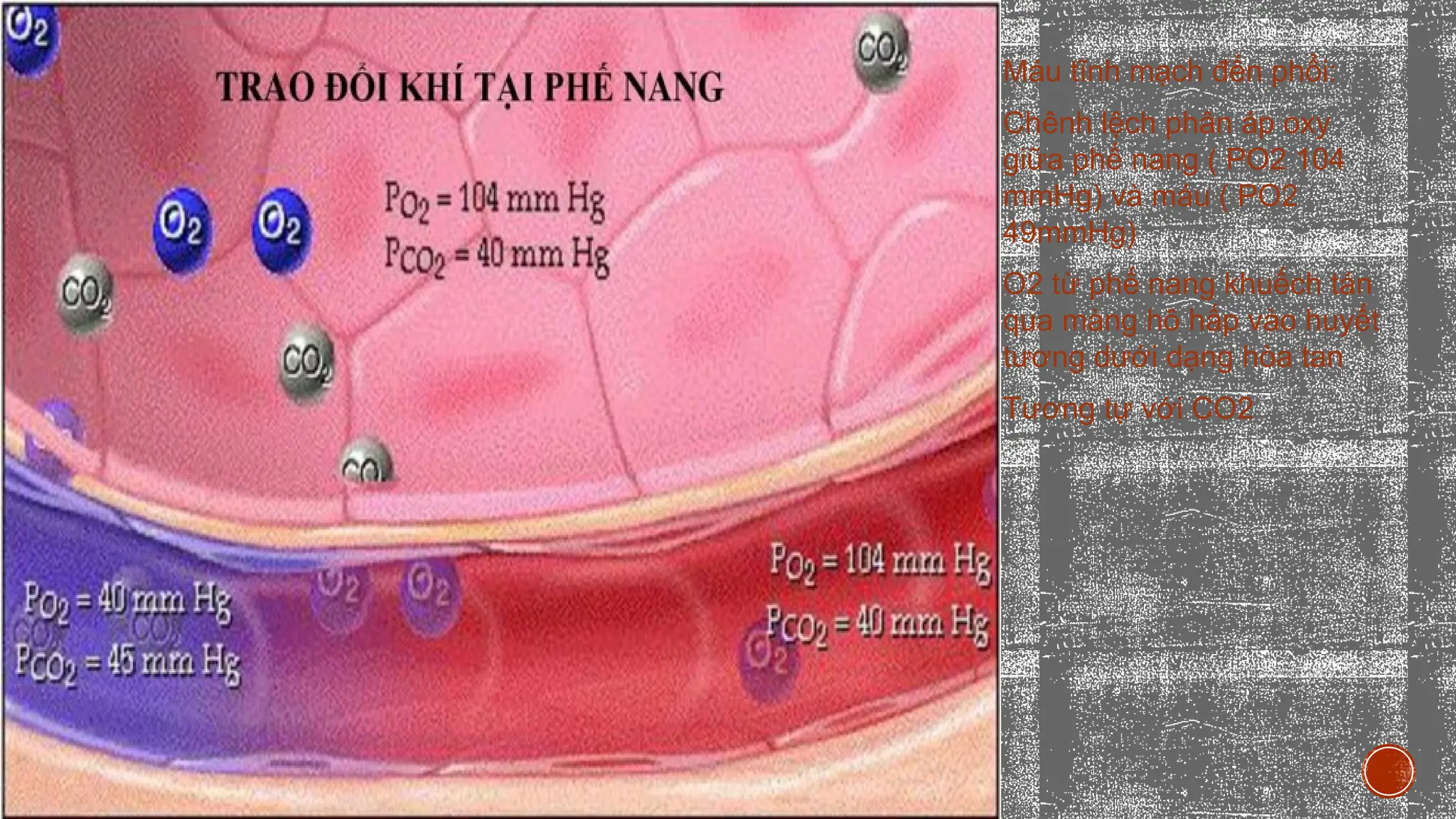 tiếp cận bệnh nhân suy hô hấp -CK115.pptx