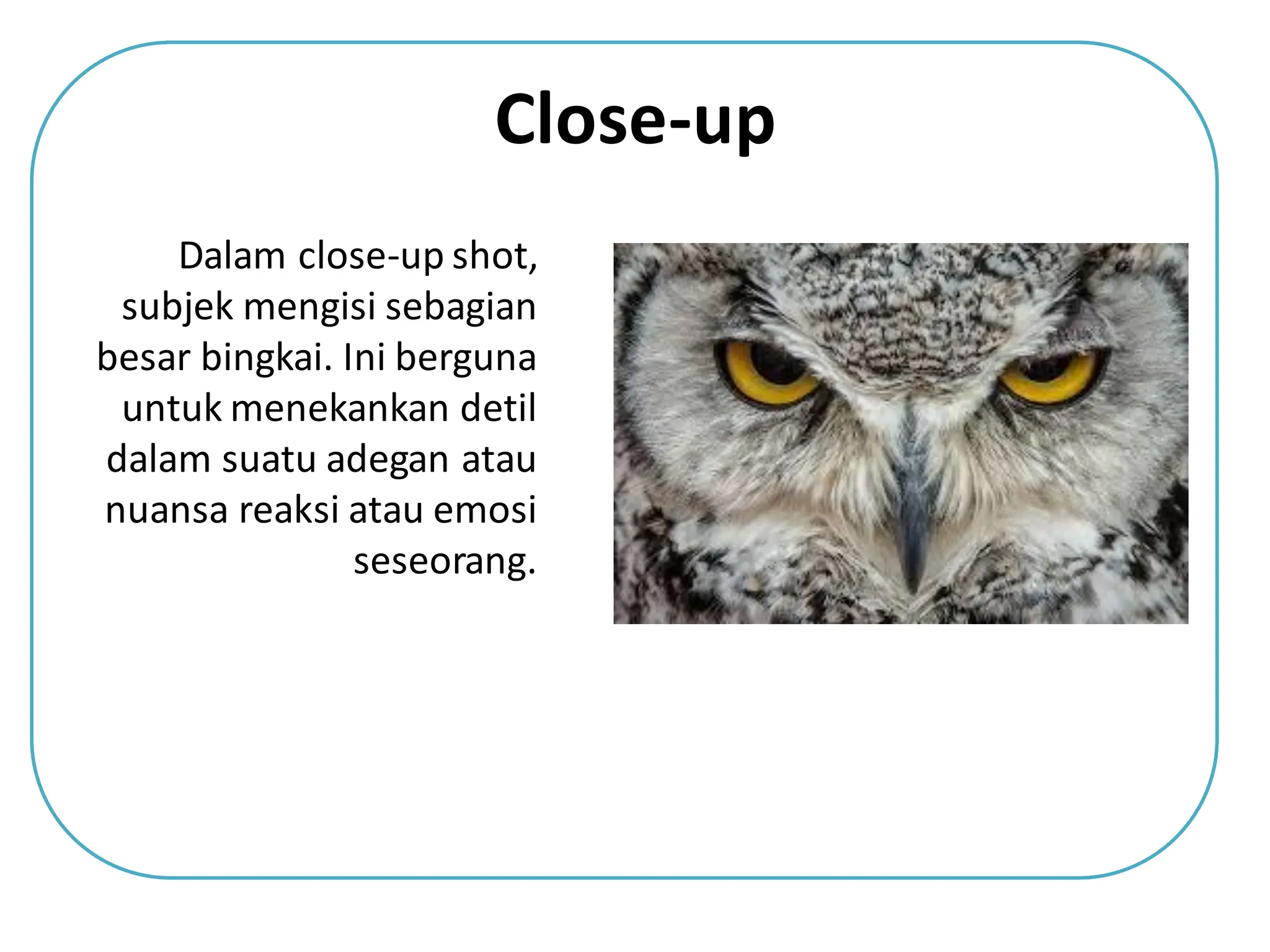 Tipe-tipe-Shot-yang-Umum-digunakan-pada-video-pembelajaran.pdf