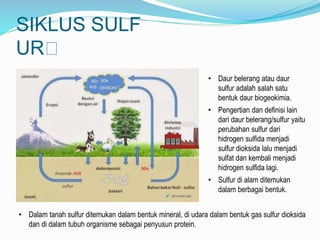 Tipe tipe ekosistem dan kerawanannya | PPTX