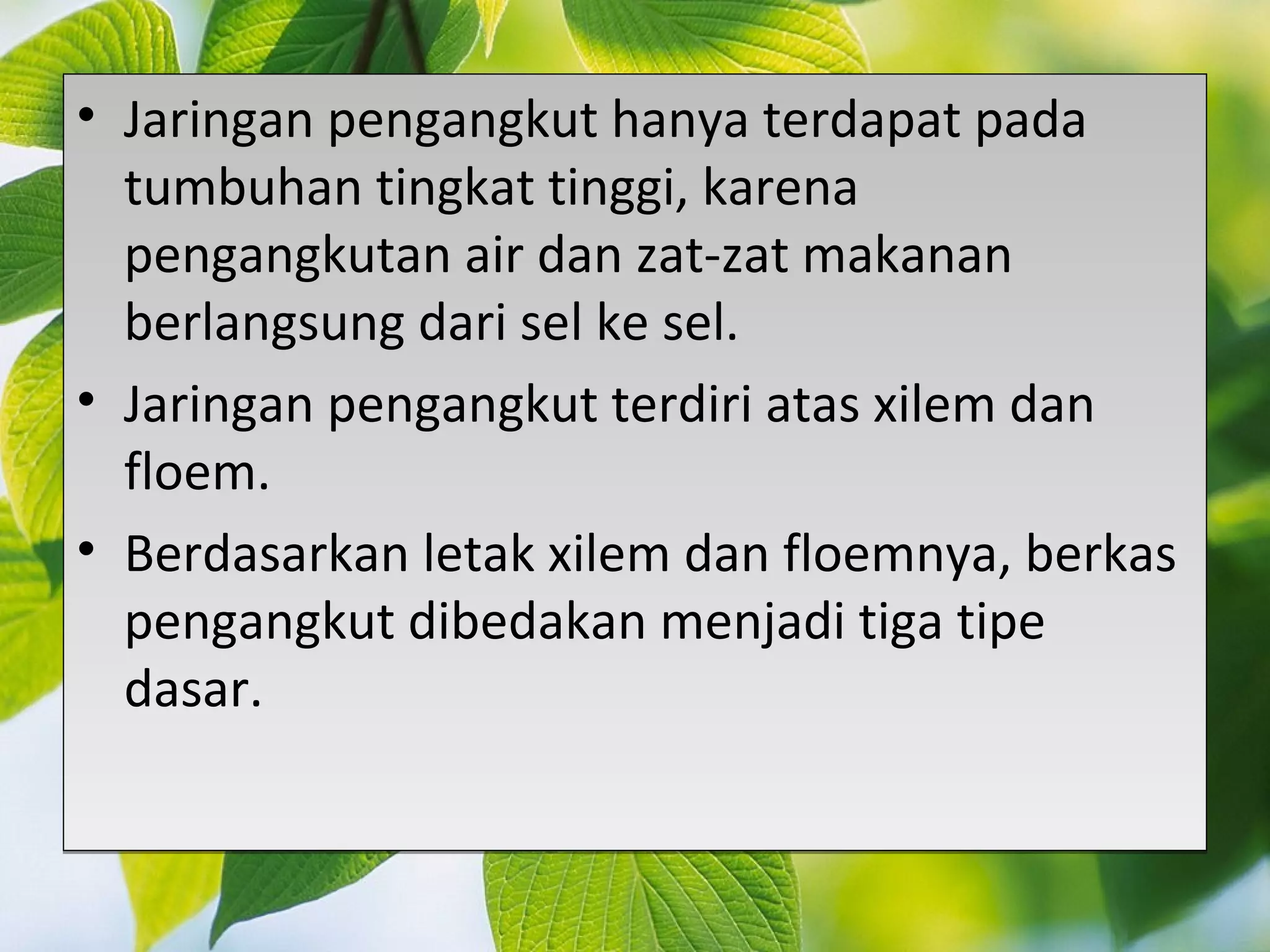 Tipe berkas pengangkut dan pertumbuhan sekunder | PPT
