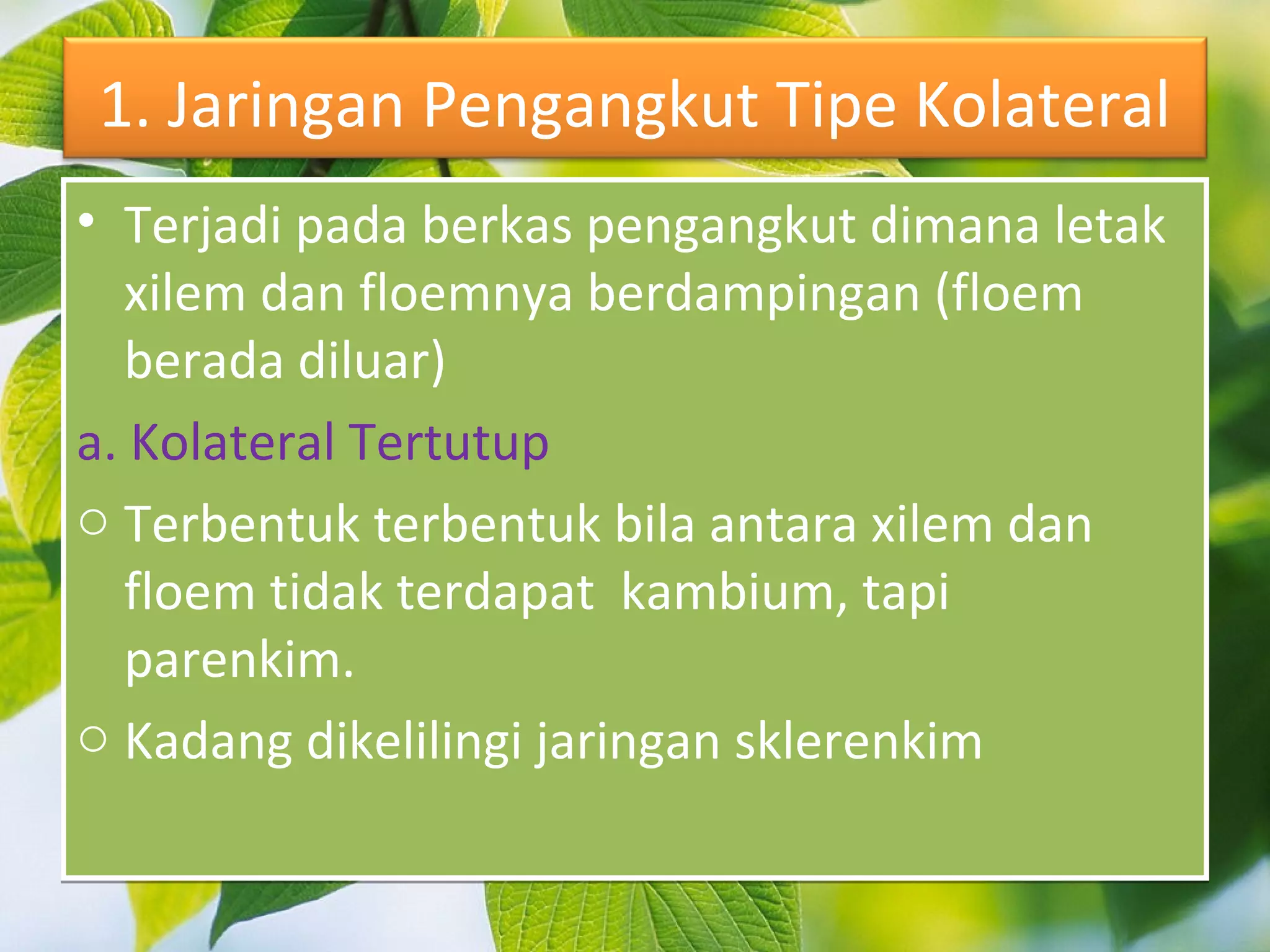Tipe berkas pengangkut dan pertumbuhan sekunder | PPT