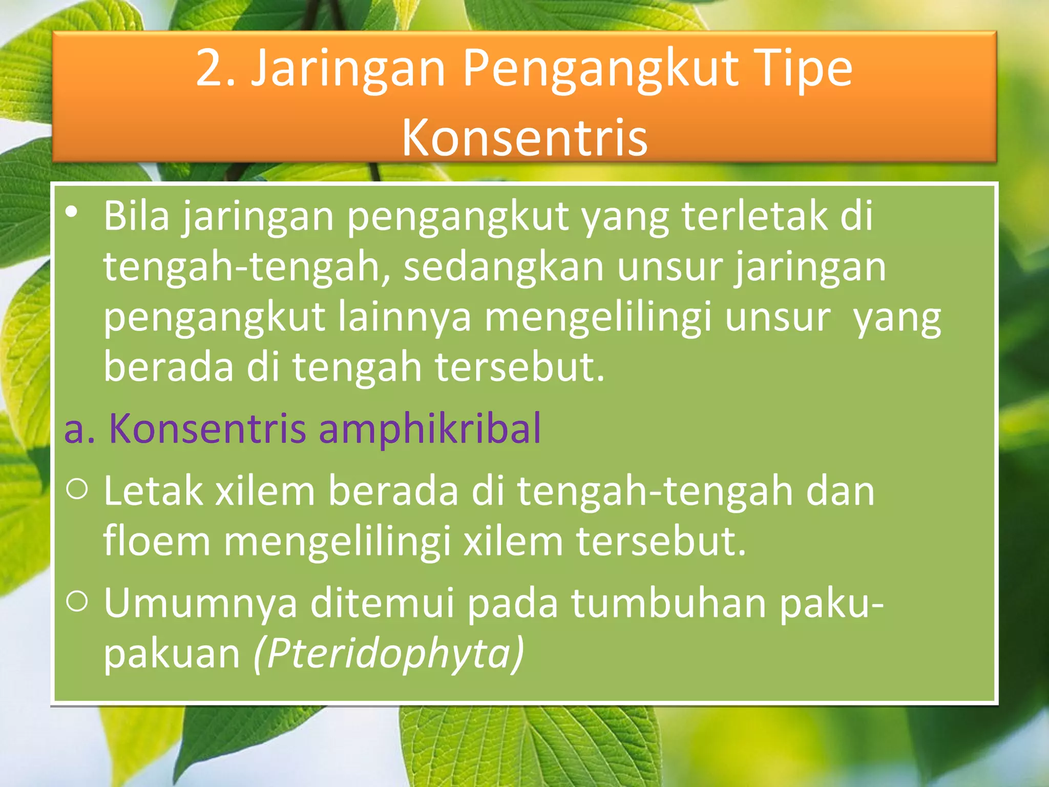 Tipe berkas pengangkut dan pertumbuhan sekunder | PPT