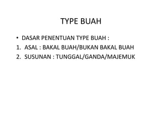 Tipe buah | PDF
