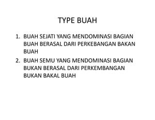 Tipe buah | PDF