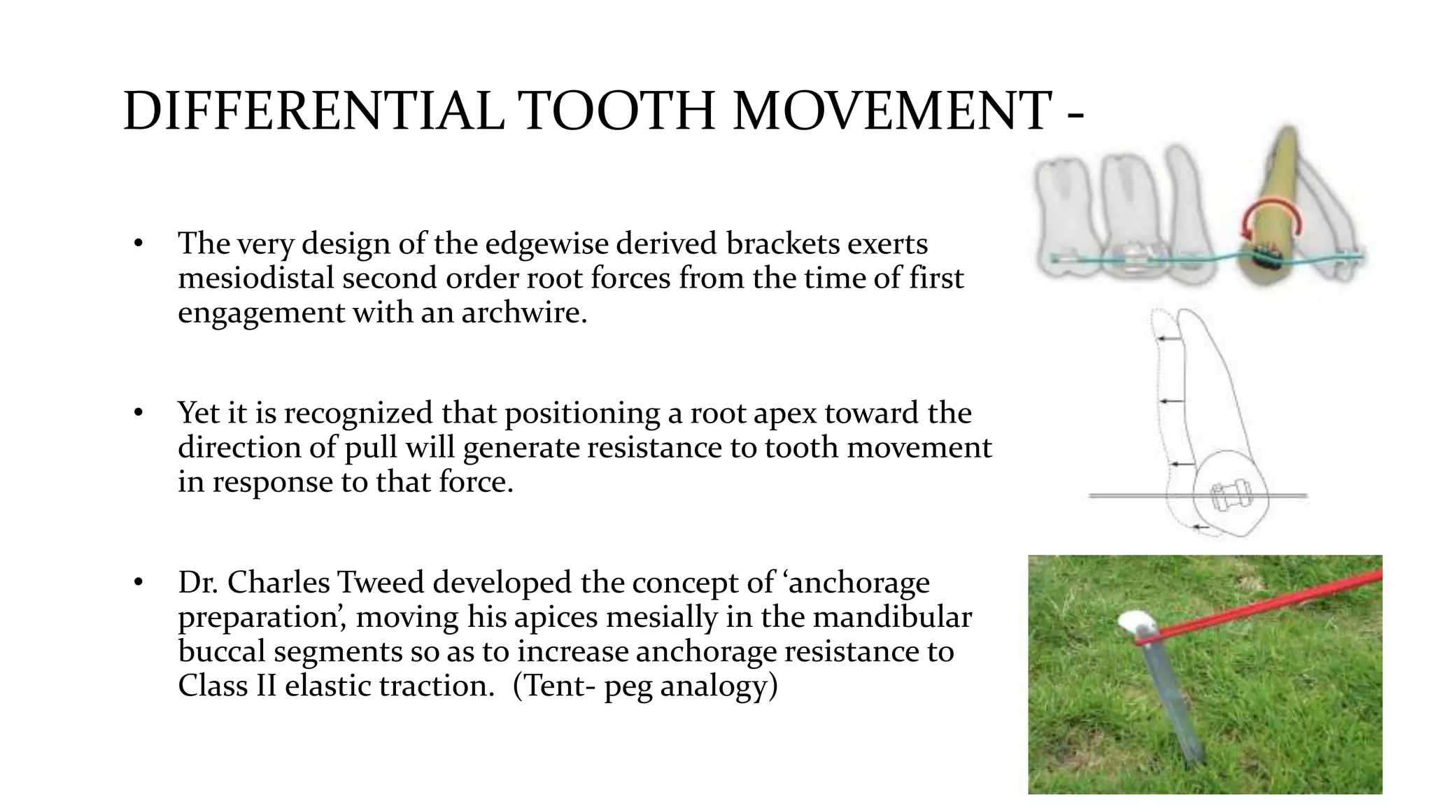 Tip edge mechanics | PPTX