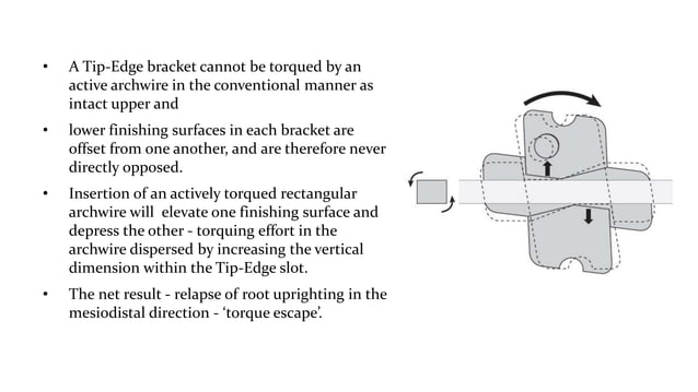 Tip edge mechanics | PPT