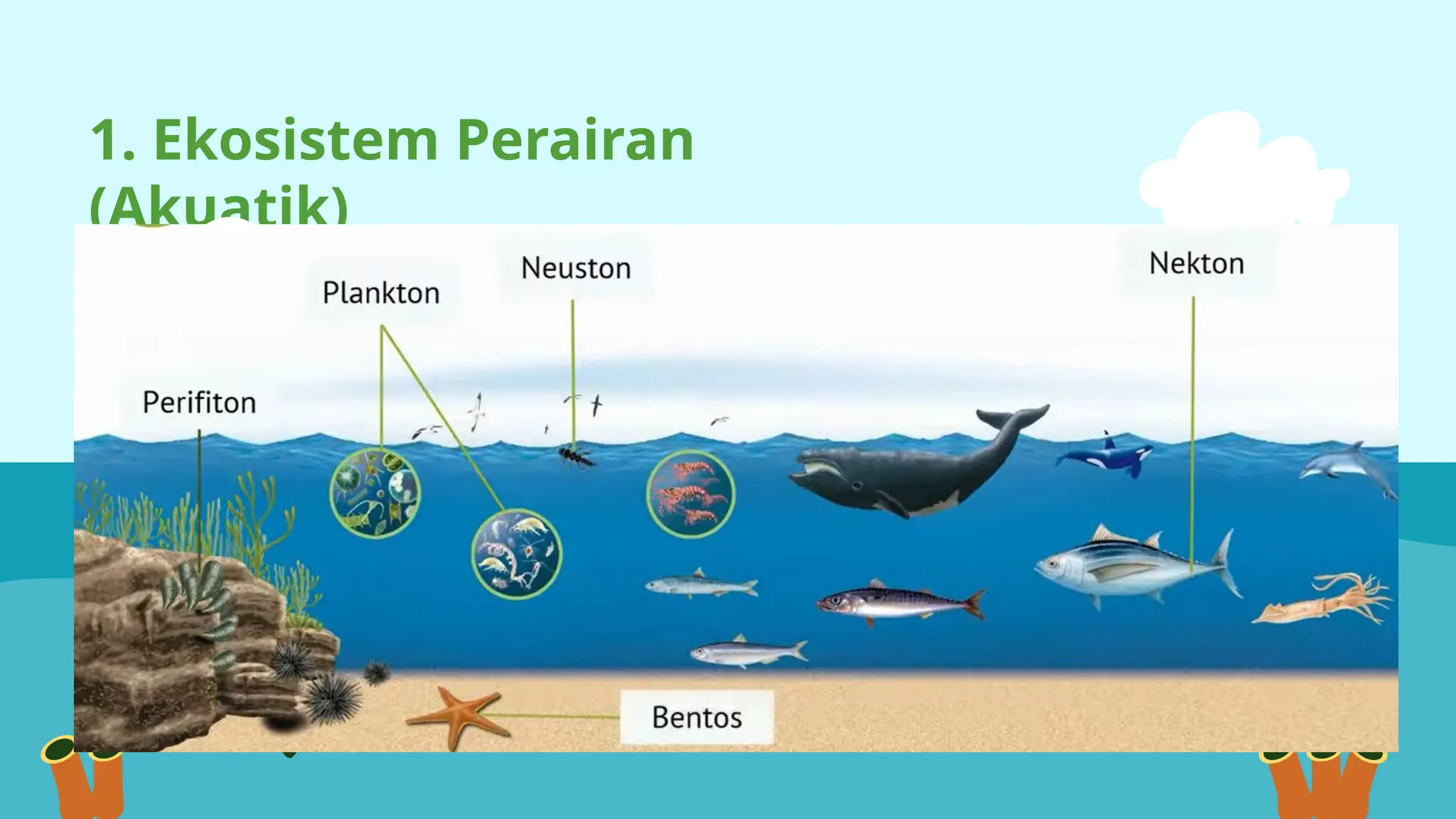 Keanekaragaman hayati: ppt Tipe Ekosistem | PPTX
