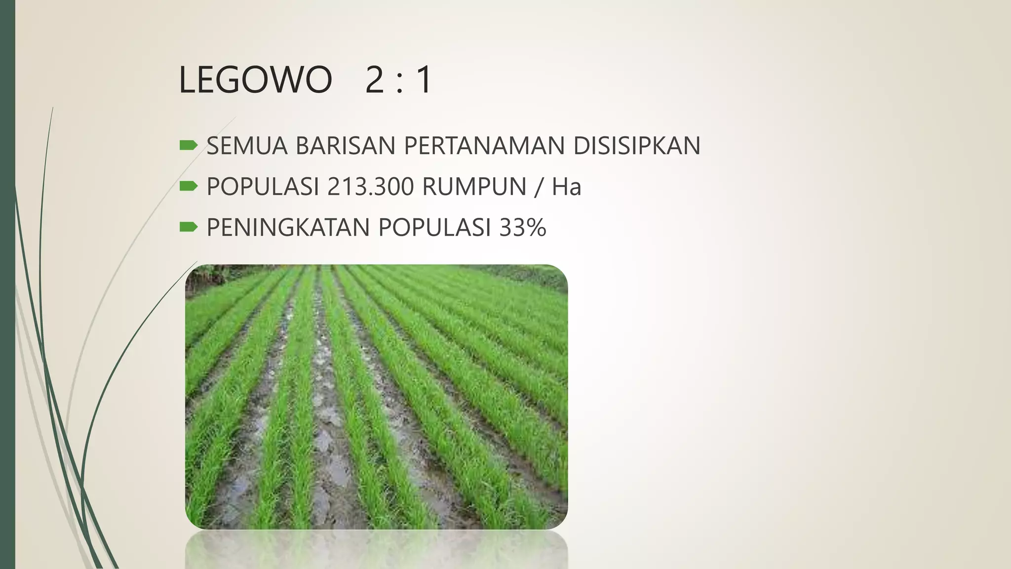 TIPE JAJAR LEGOWO.pptx