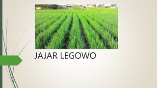 TIPE JAJAR LEGOWO.pptx
