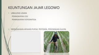 TIPE JAJAR LEGOWO.pptx