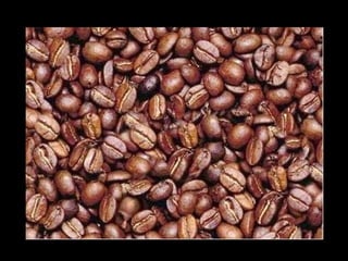 Mengenal 4 Jenis Personality | PPT