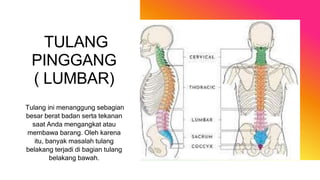 tipe PINGGANG DR NIA.pptx