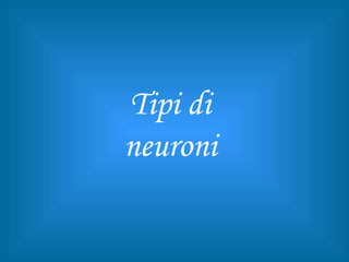 Tipi di neuroni | PPT