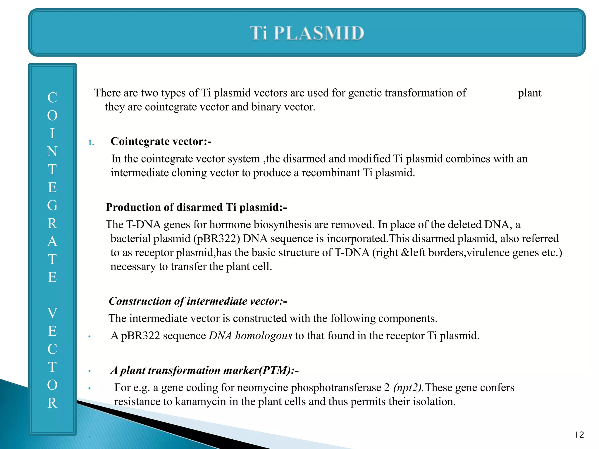 Ti plasmid | PPTX