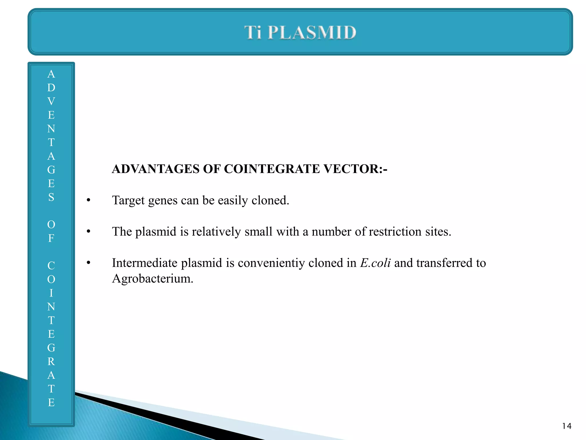 Ti plasmid | PPTX