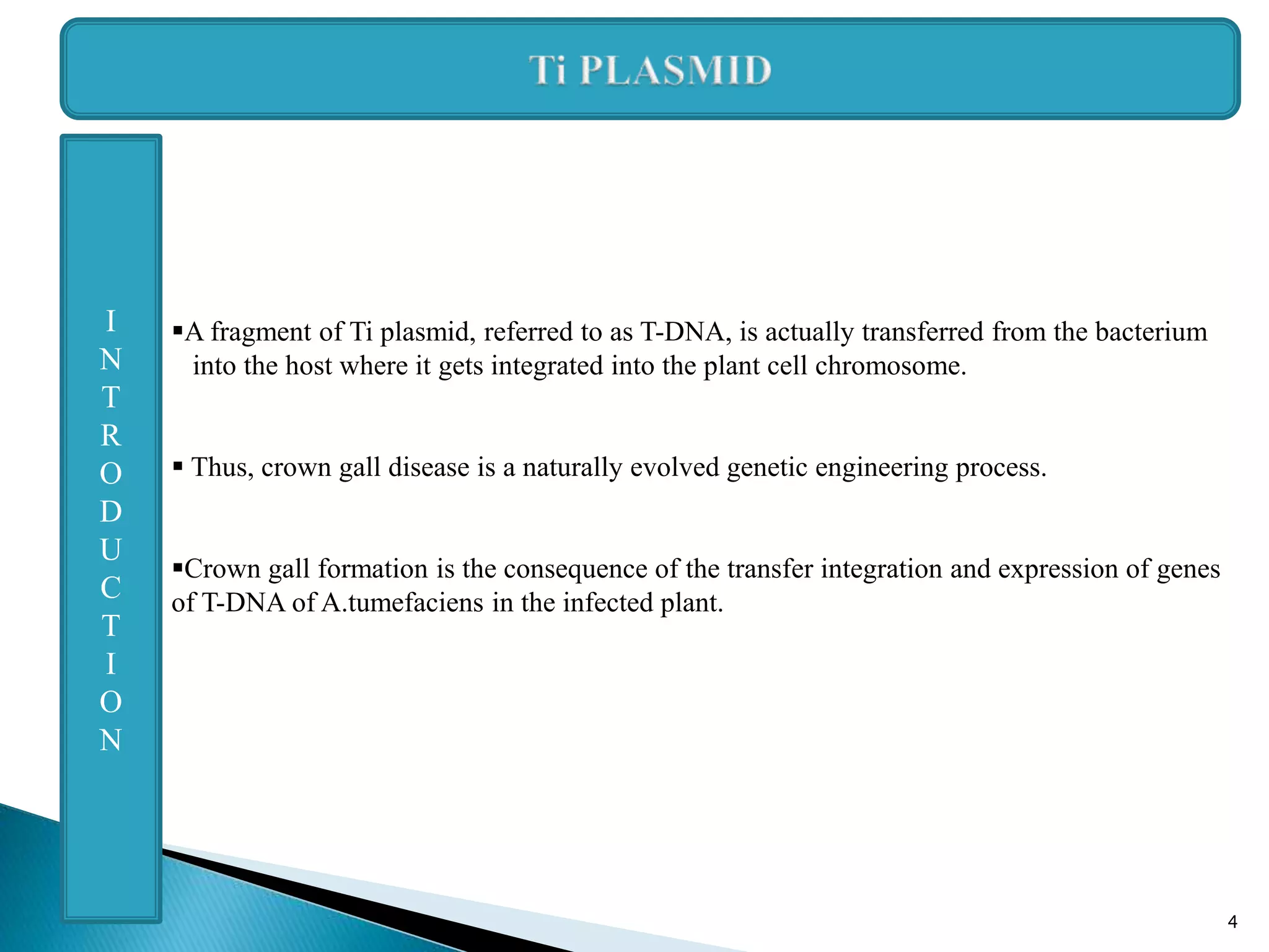 Ti plasmid | PPTX