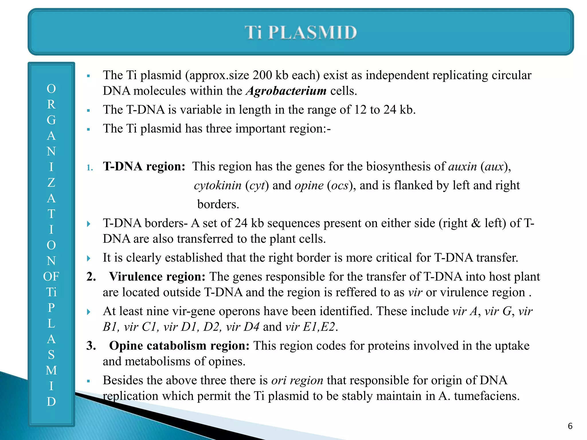 Ti plasmid | PPTX