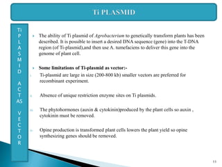 Ti plasmid | PPTX
