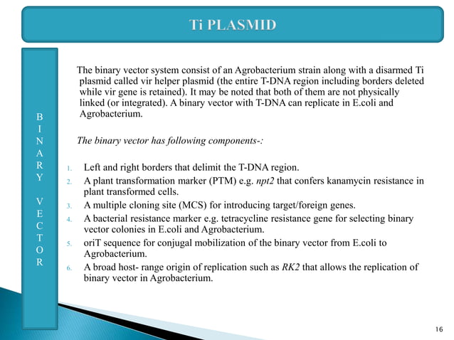 Ti plasmid | PPTX | Biotech and Biomedical Industry | Industries