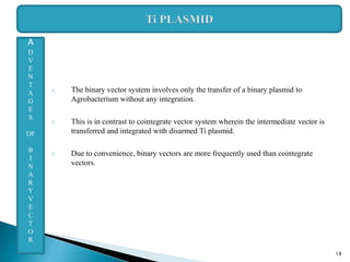 Ti plasmid | PPTX