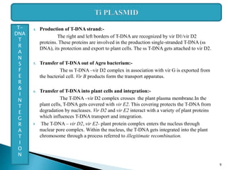 Ti plasmid | PPTX