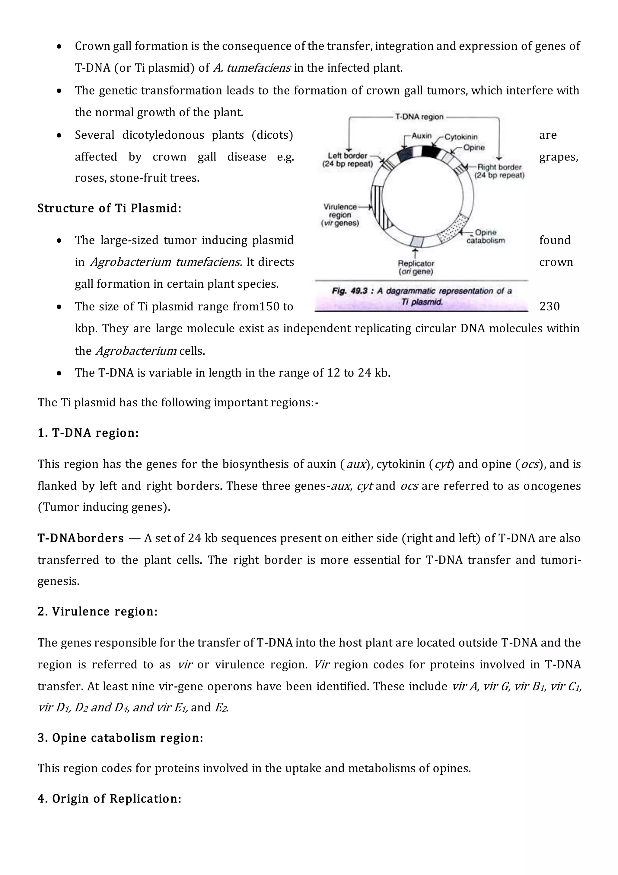 Ti plasmid | DOCX