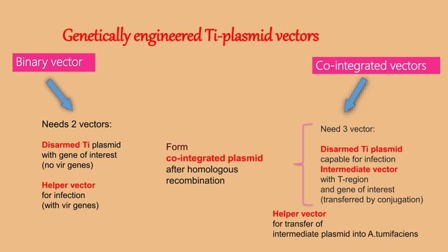 ti plasmid derived vector.pptx