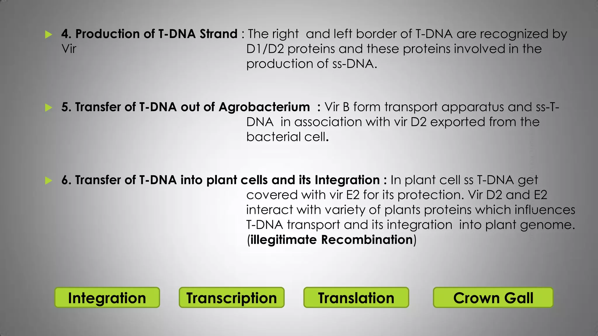 Ti Plasmid & Agrobacterium Mediated gene transfer | PDF