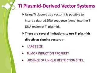 Ti Plasmid | PPTX