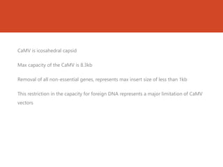 Ti plasmid and ca mv | PPT