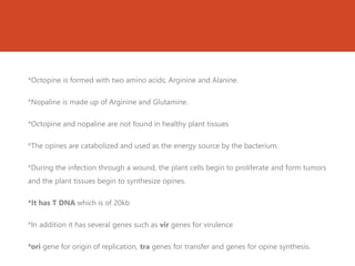 Ti plasmid and ca mv | PPT