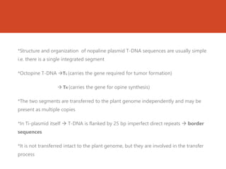 Ti plasmid and ca mv | PPT