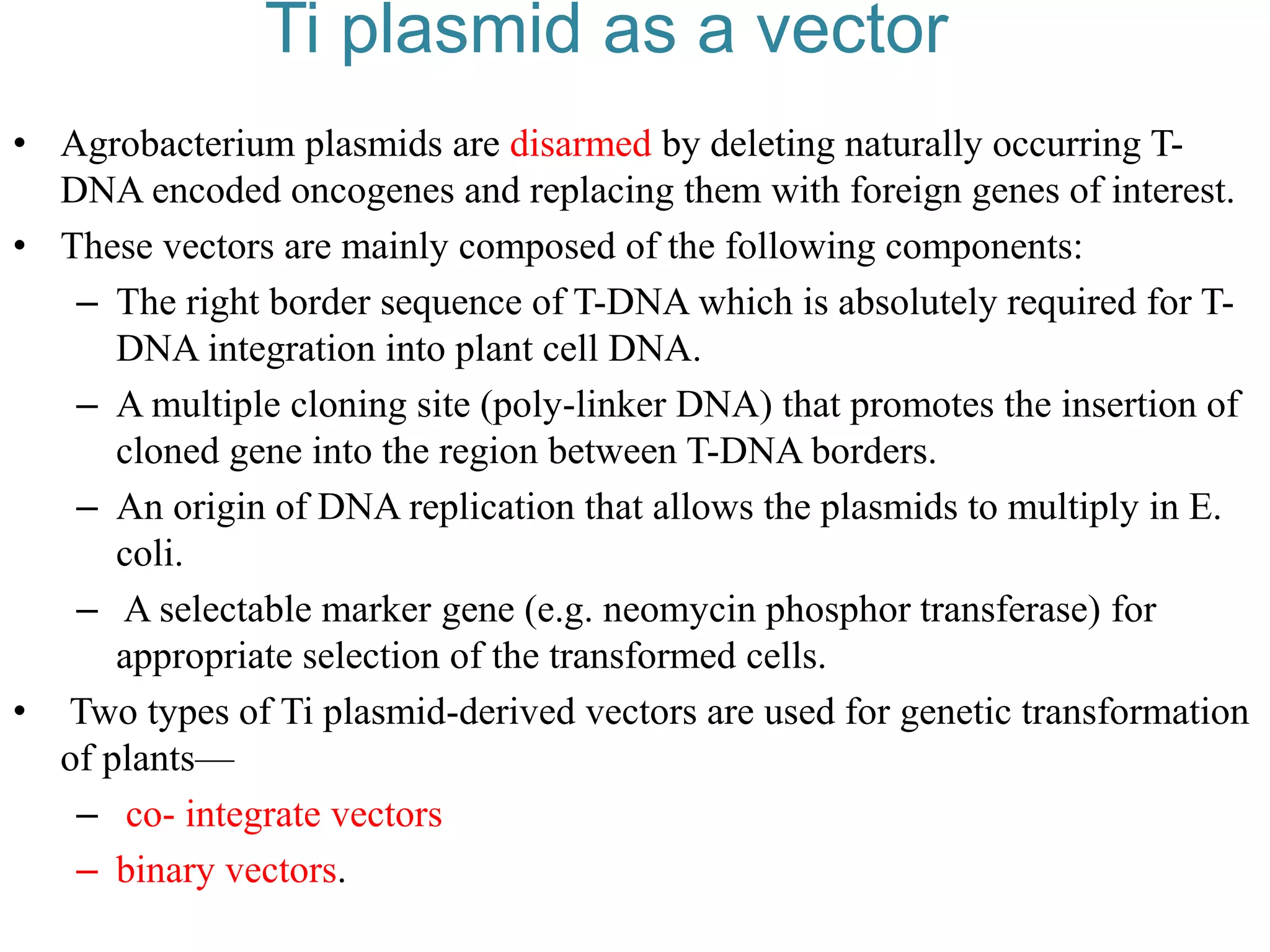 Ti plasmid derivatives | PPTX