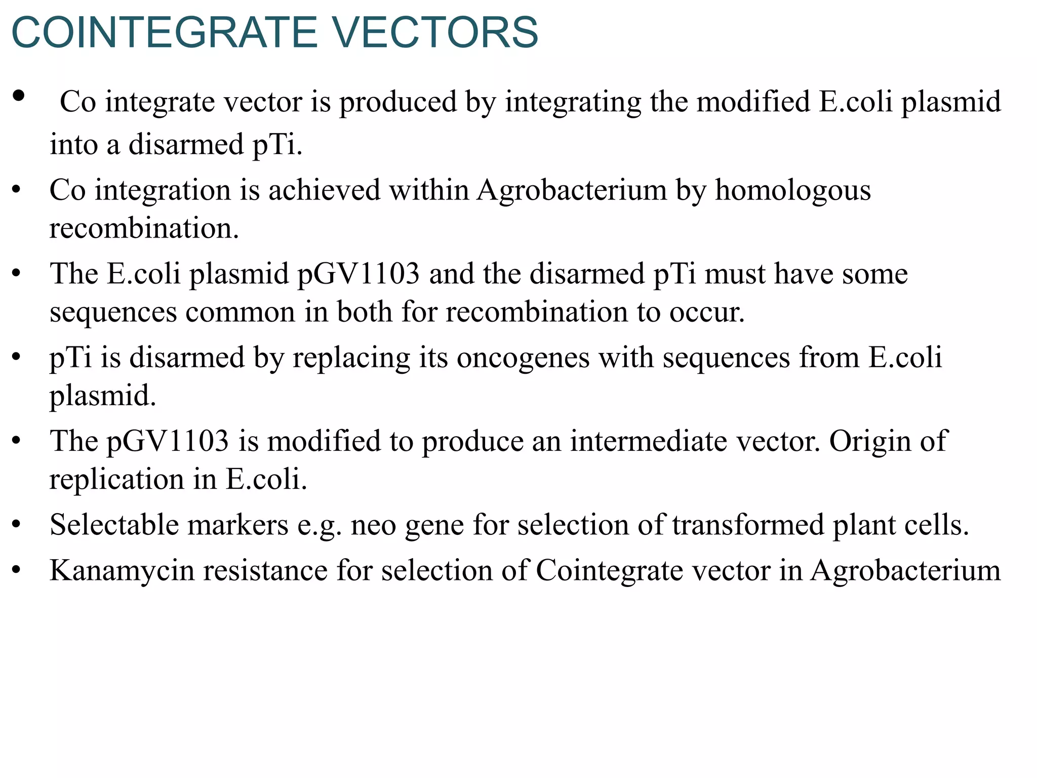Ti plasmid derivatives | PPTX