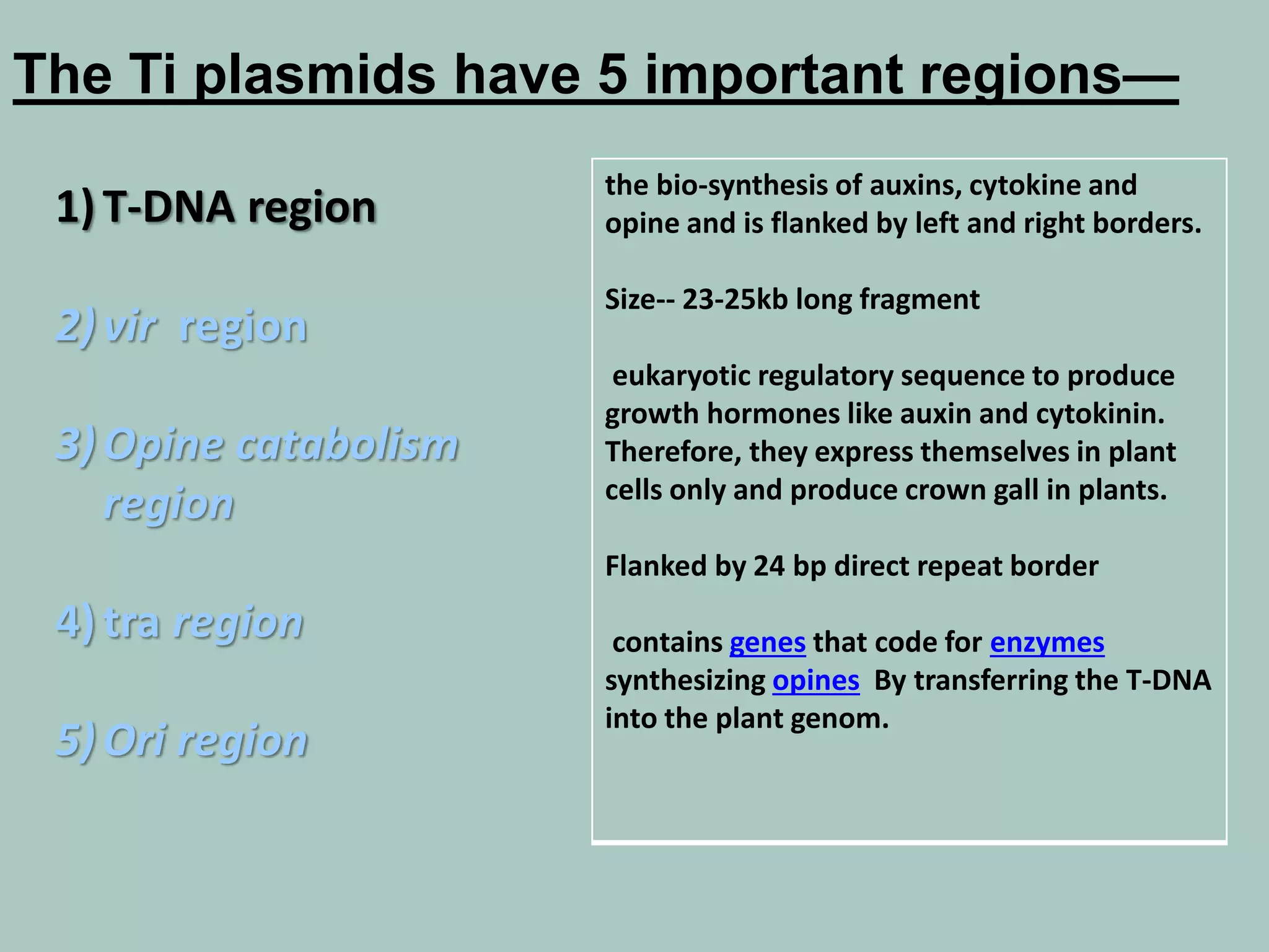 agrobacterium | PPT