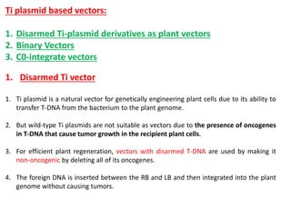 Ti plasmid ss | PDF