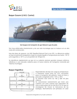 Tipo de buques portacontenedores | PDF