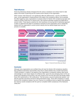 Tip Of The Compliance Iceberg | PDF