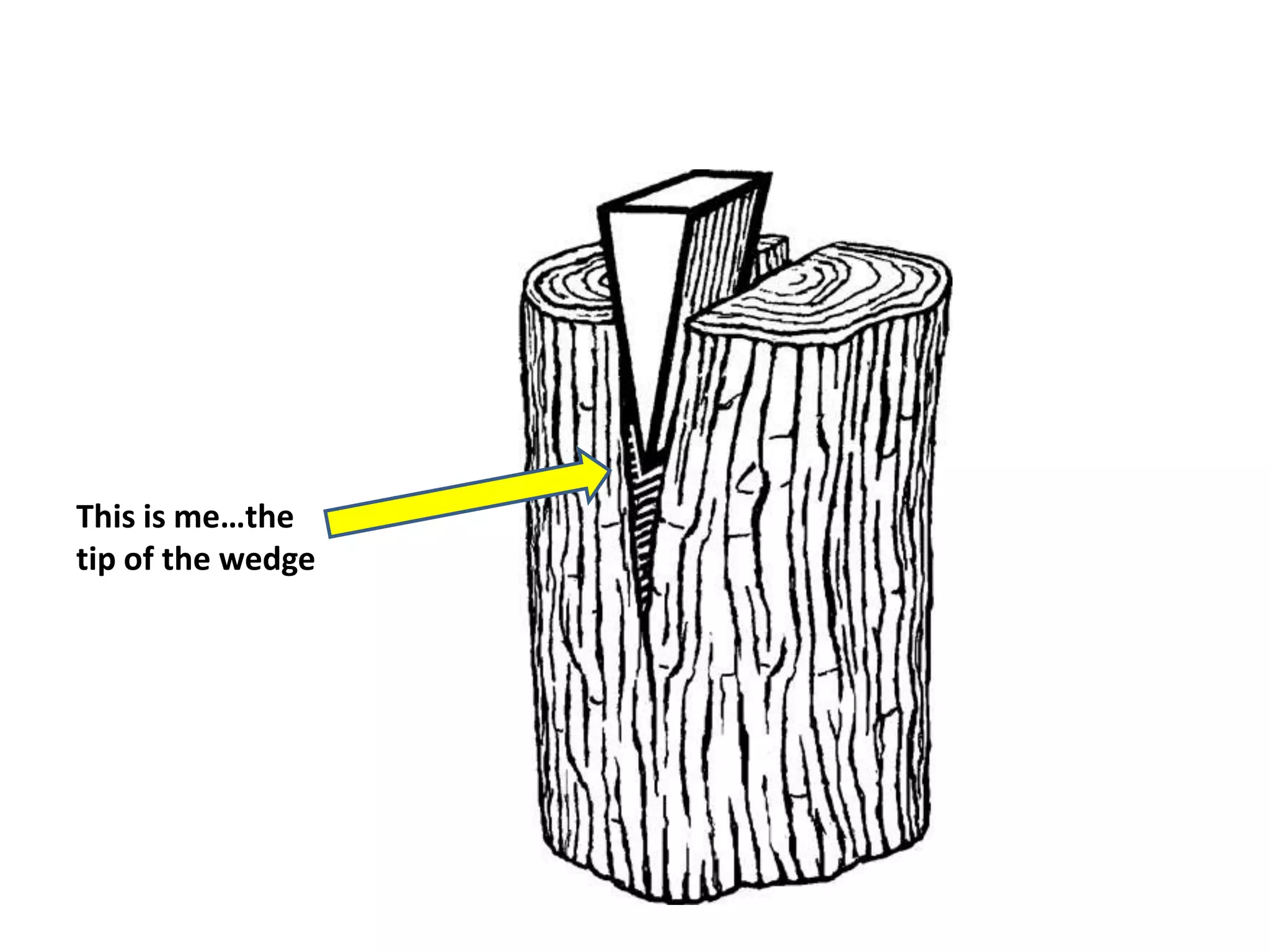 Tip of the Wedge | PPT