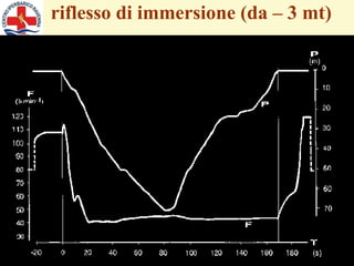 Tipologia immersioni apnea | PPT