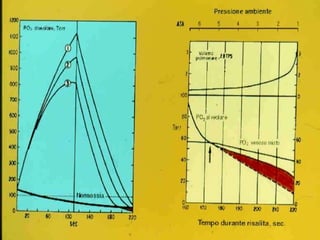 Tipologia immersioni apnea | PPT