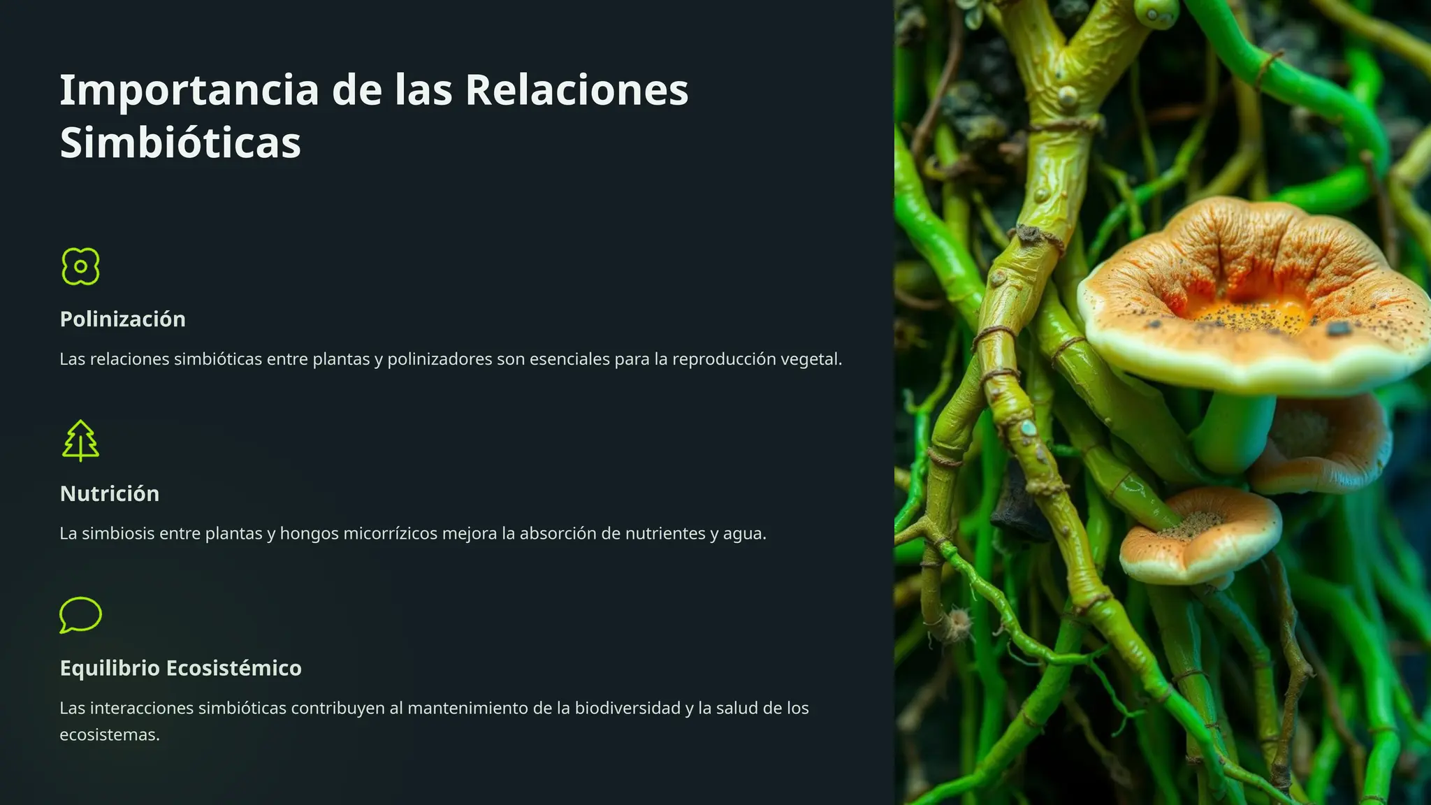 Tipos-de-Simbiosis.pptxjjjjjjjjjjjjjjjjjjjjjjjjjjjjjjjjjjj | PPTX