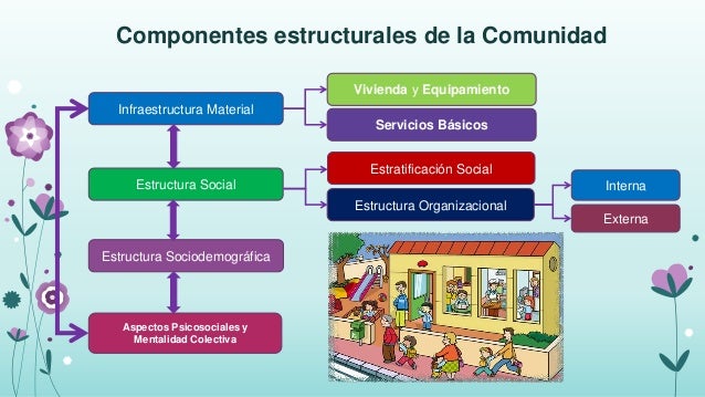 Tipos, características y funciones de las comunidades