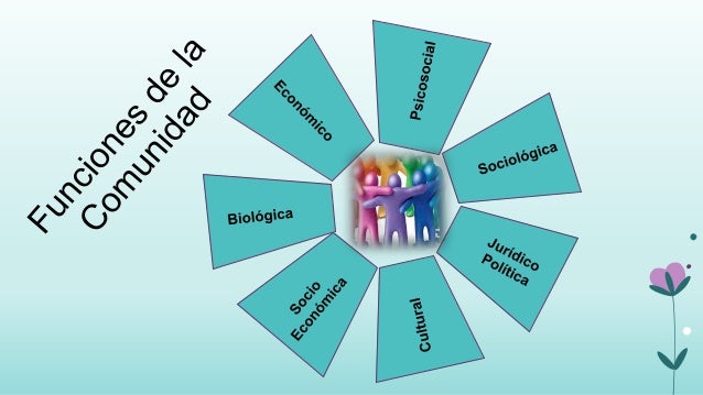 Tipos, características y funciones de las comunidades
