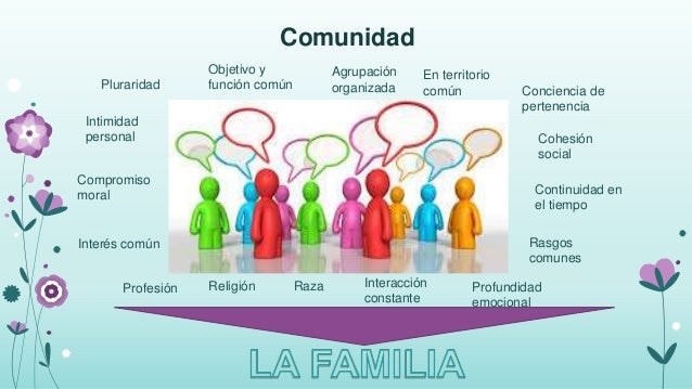 Comunidad: Qué Es, Clasificación, Funciones Y Características – NMDKZN